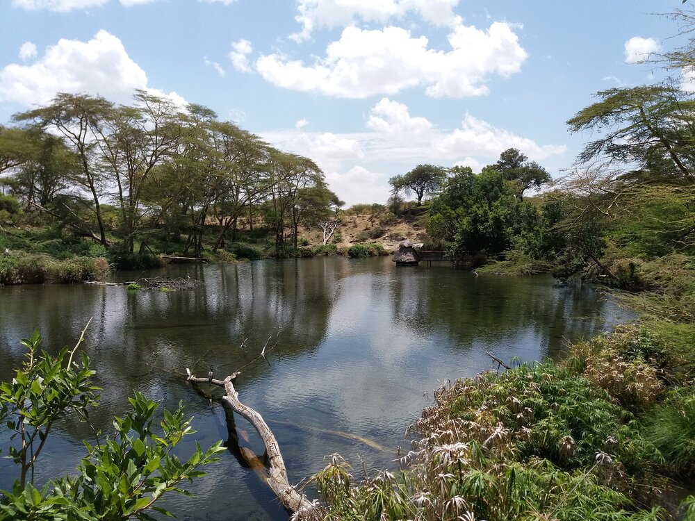 Mzima Springs